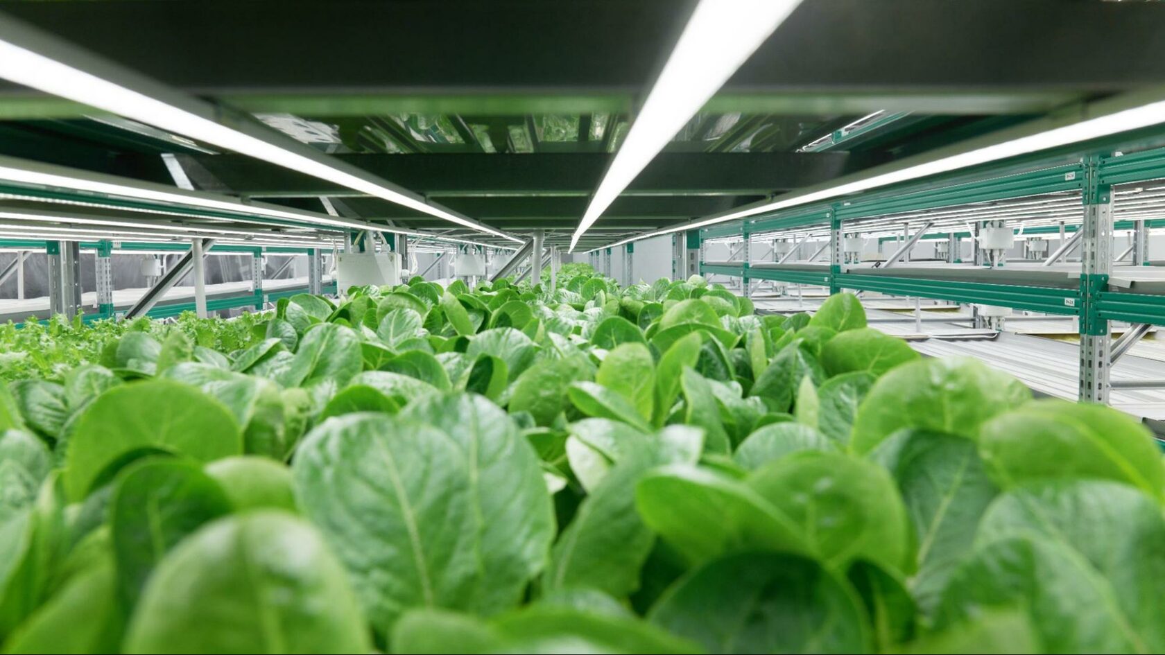 Investing in Sustainable Agriculture and Indoor Farming