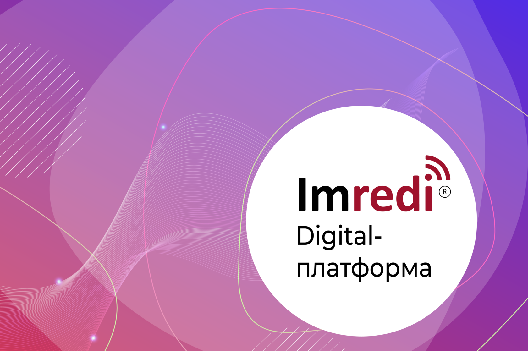 От стартапа до лидера цифровых решений: путь Imredi