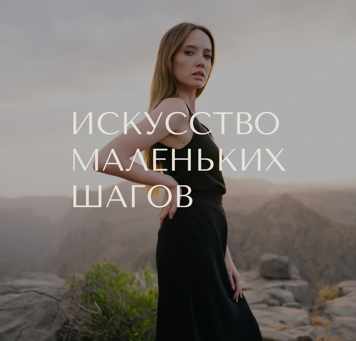 Искусство маленьких шагов