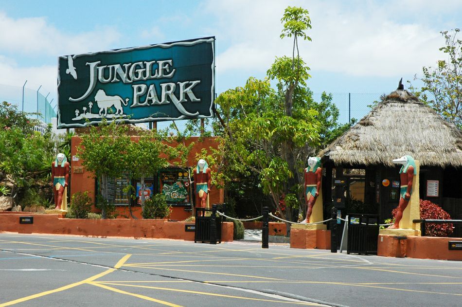 Экскурсии по странам