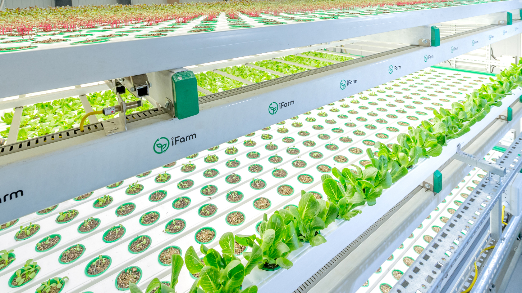 iFarm Will Construct an Automated High-Tech Vertical Farm in the Smart ...