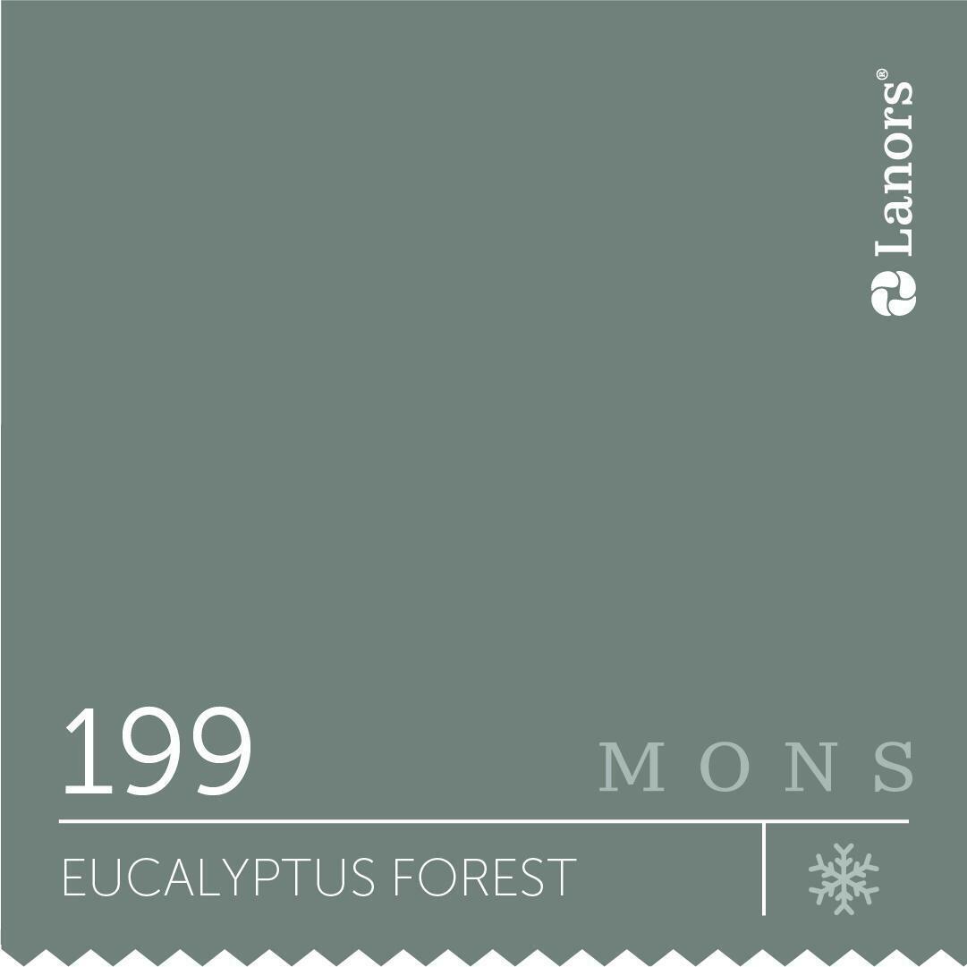 199. EUCALYPTUS FOREST