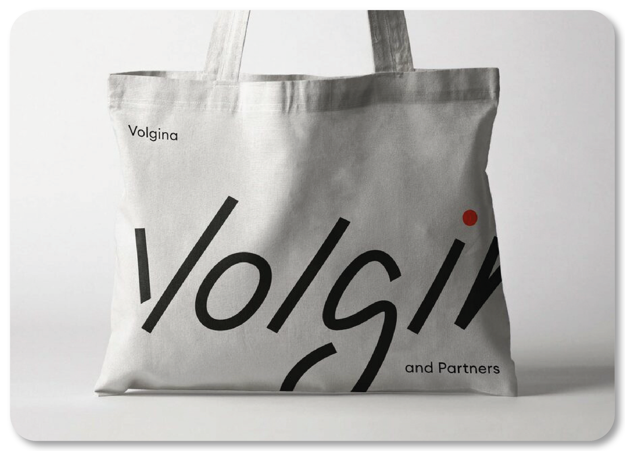Volgina and Partners