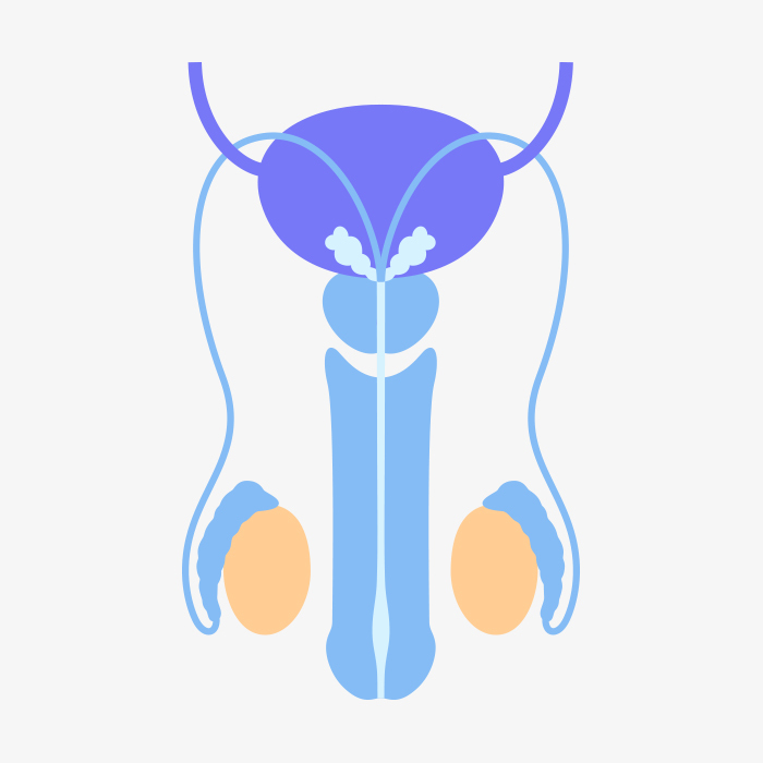 Welcome-курсы Medtrain