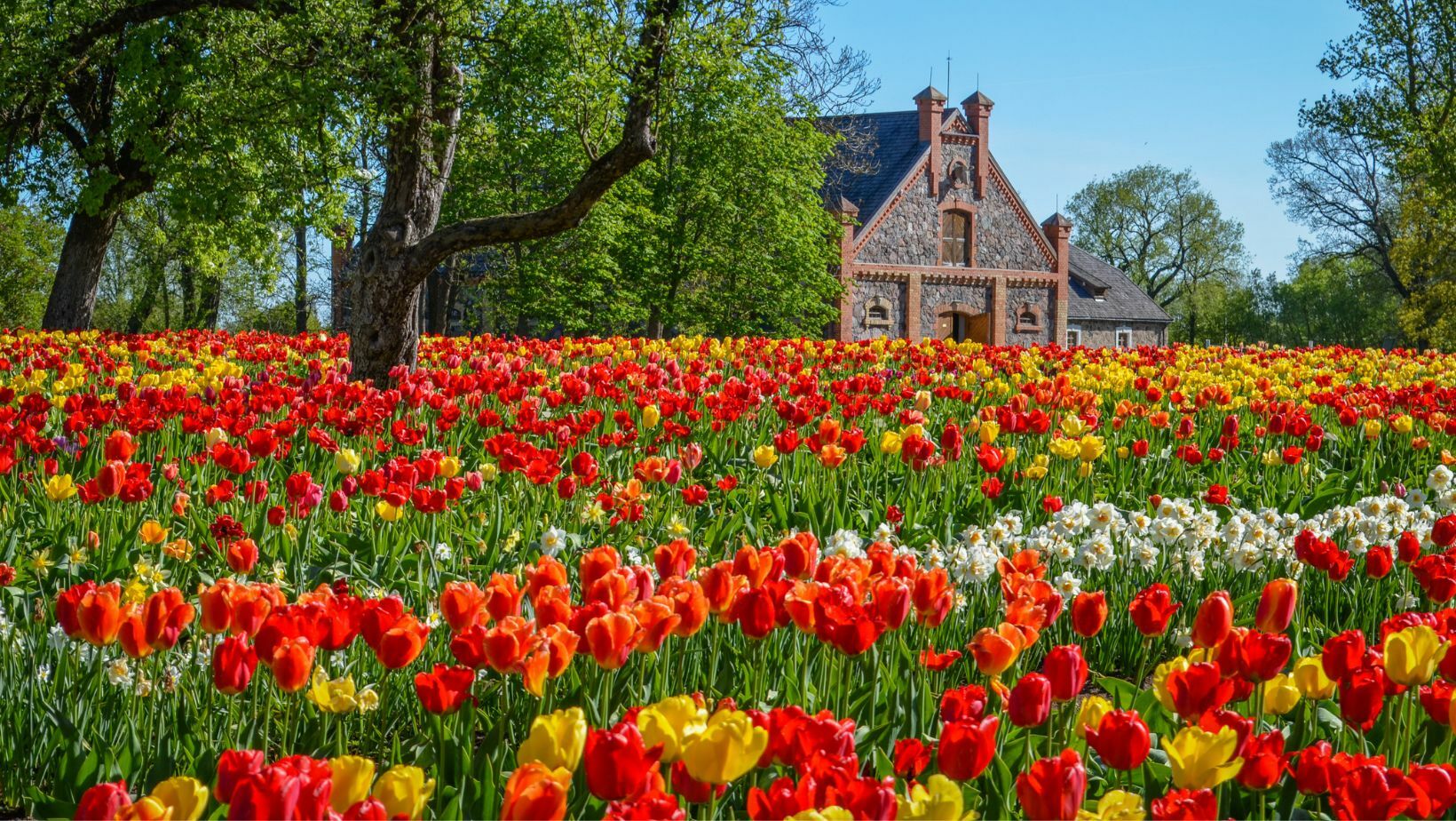 Burbiškis, Maironis, Baisogala 23-05-13