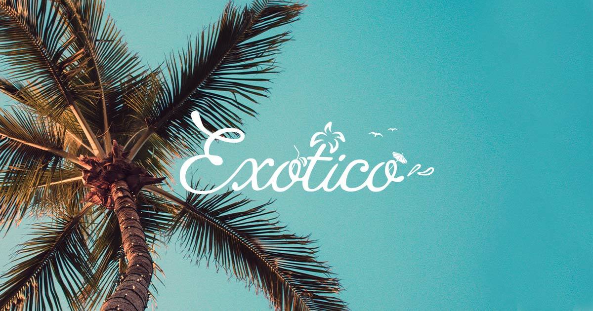 Our Portfolio - Exotico