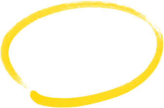 Your training programs | Vladimir Shmondenko