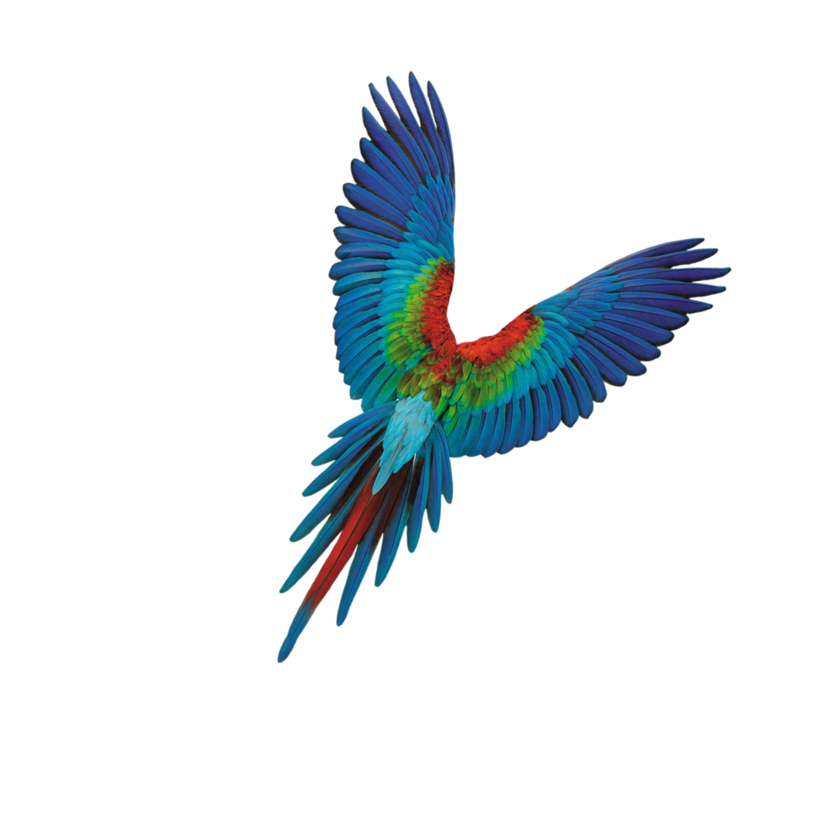 ECSTATIC DANCE MOSCOW