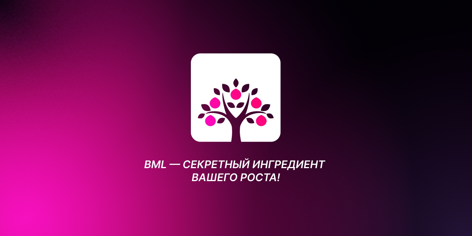 BML | DIGITAL MARKETING AGENCY рекламное онлайн агентство полного цикла