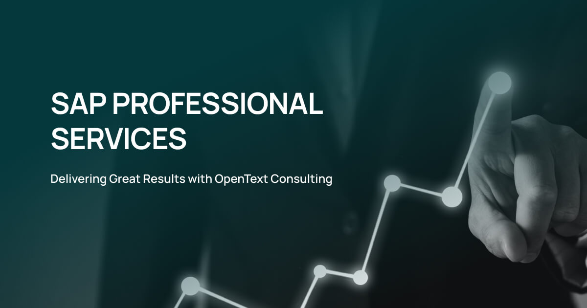 SAP PROFESSIONAL SERVICES