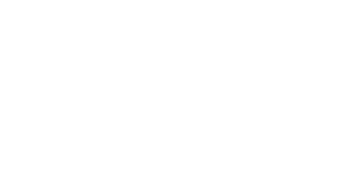 100балльный репетитор