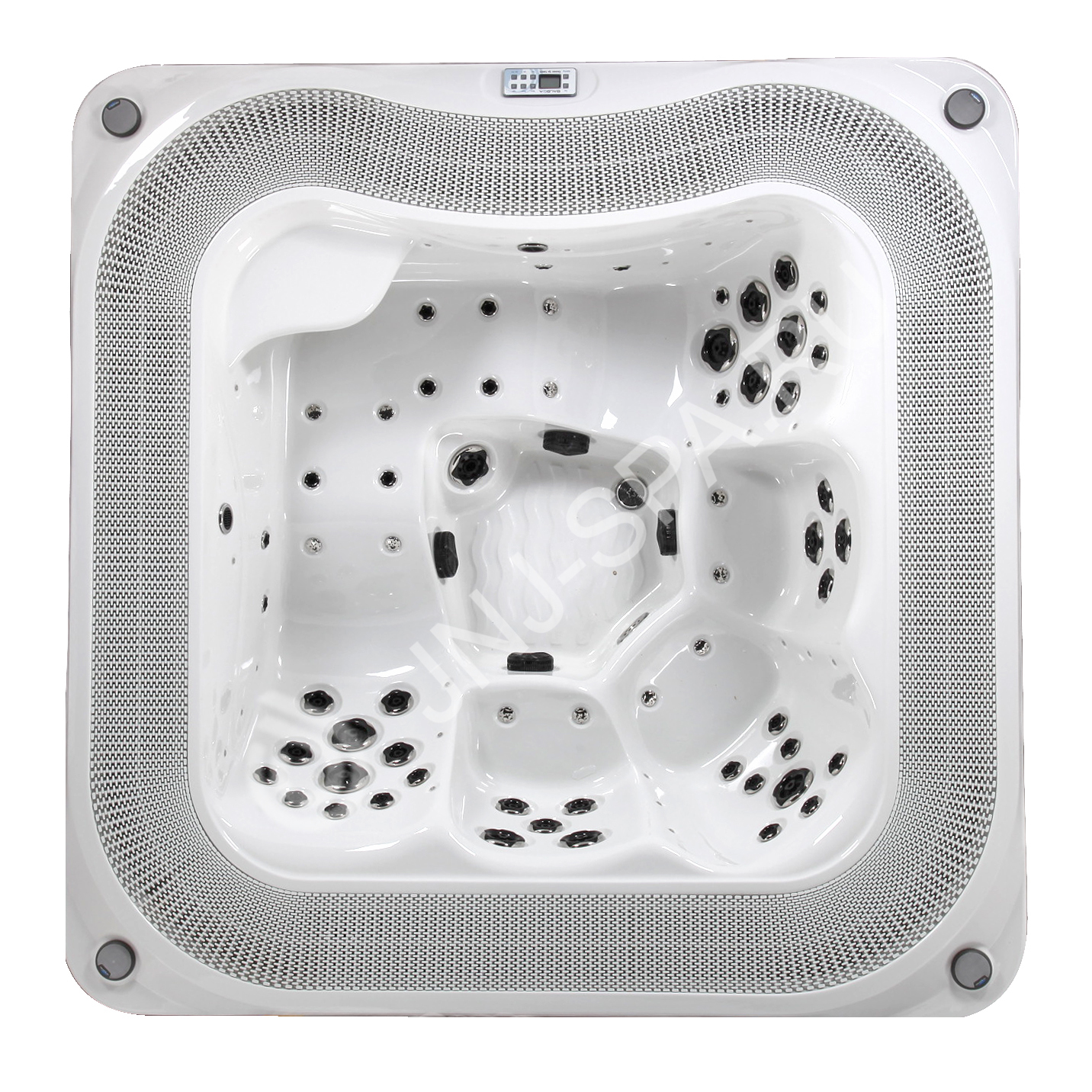 JNJ Spas Lion