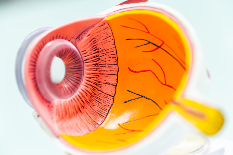 Aizmirsti par brillēm un lēcām! Kā redzes lāzerkorekcija var palīdzēt?