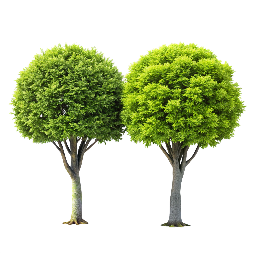 Помощь в покупке и доставке автомобиля с аукционов Китая, Японии и ...