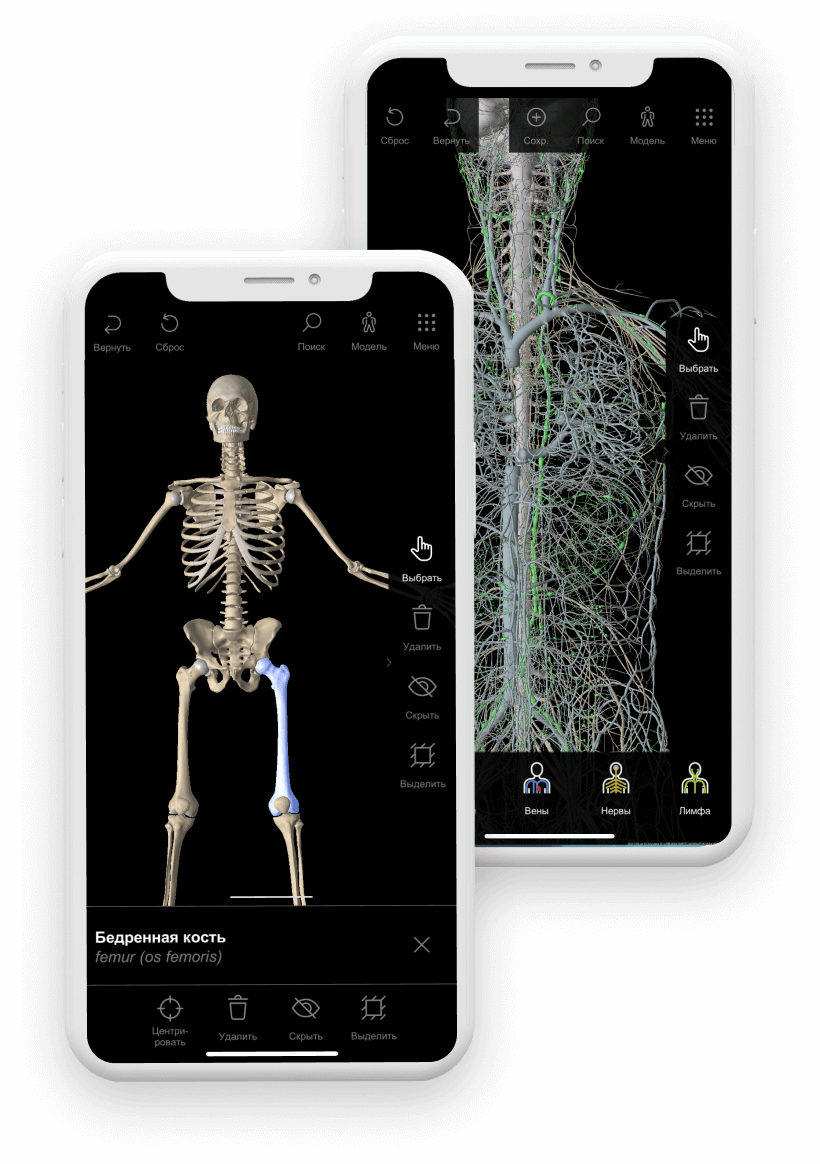 Virtual Dissection Table and App | Interactive anatomy Solution