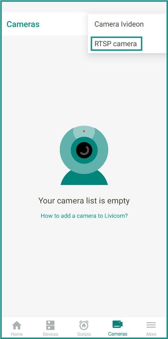 RTSP-camera registration
