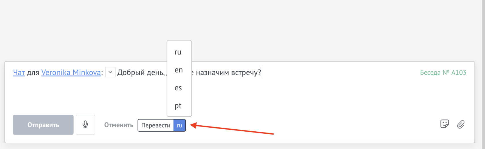 NOVA: Переводчик сообщений в amoCRM