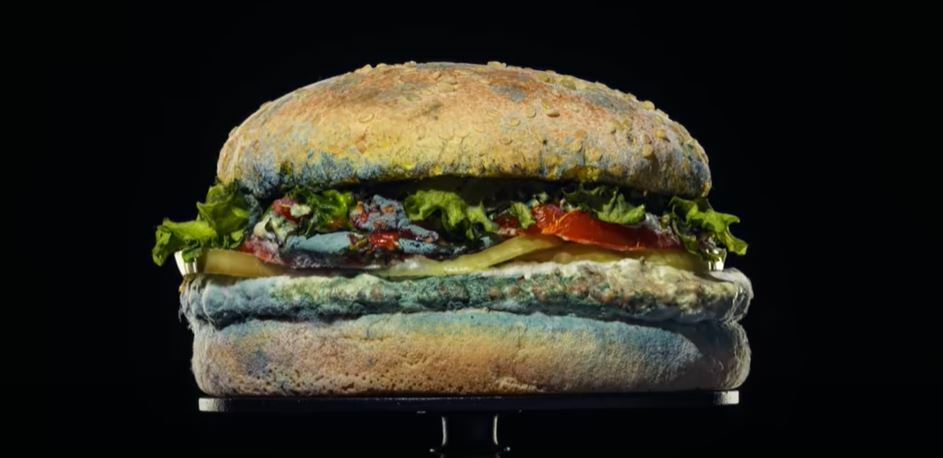 The ‘Mouldy Whopper’ ad campaign by Burger King