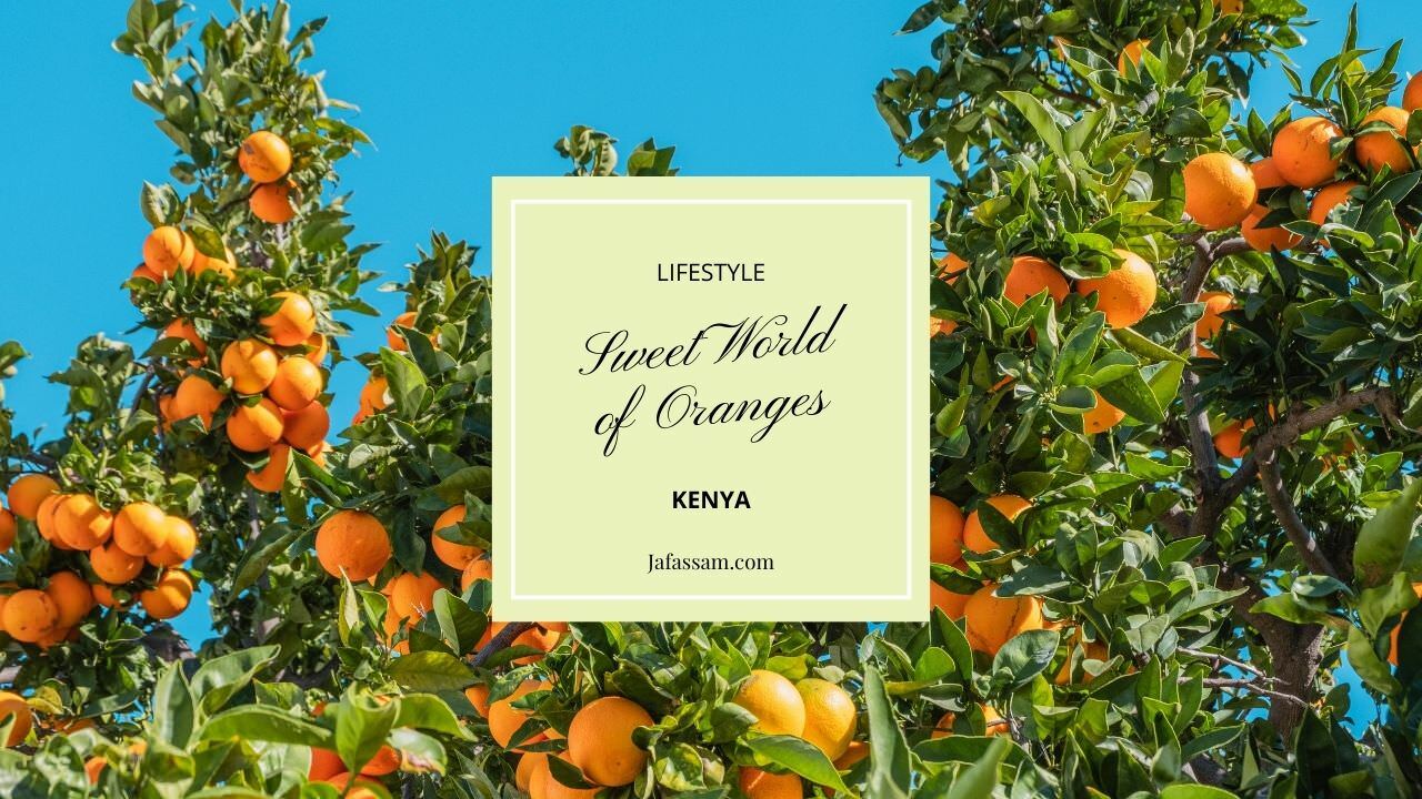 The Sweet and Tangy World of Kenyan Oranges: A Comprehensive Guide to ...