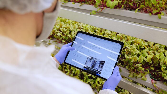 Vertical Farming Technology iFarm