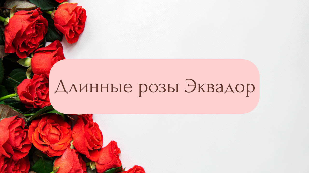 Купить гигантские розы с доставкой букета по всей Москве в AlohaFlowers