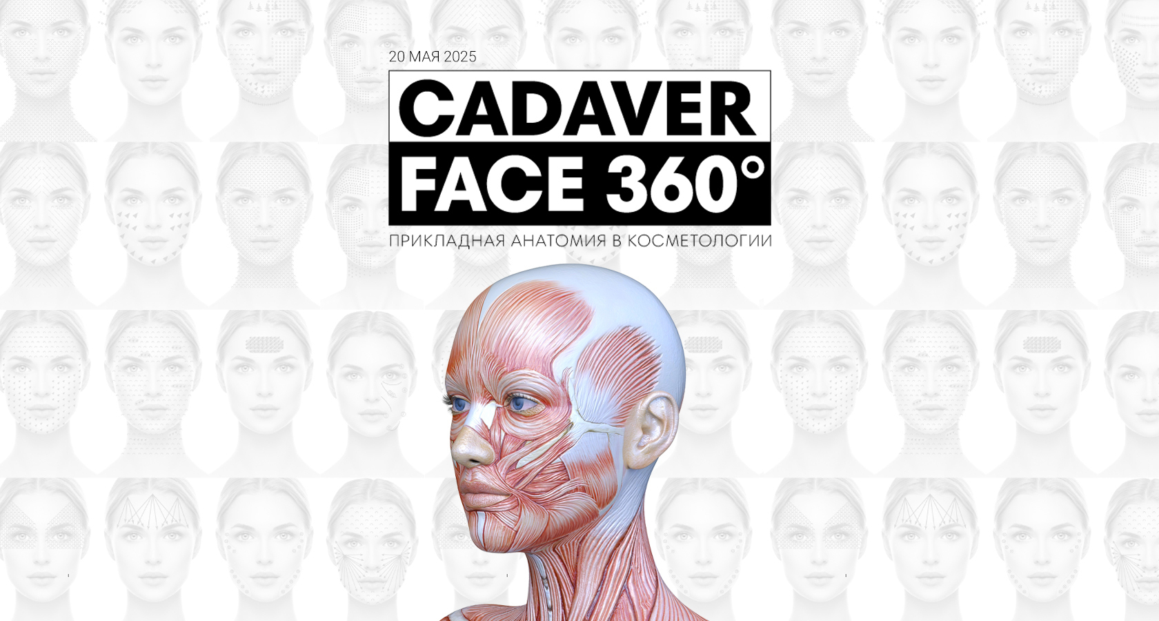 29-30/09/2025 - Прикладная анатомия в косметологии: CADAVER FACE 360