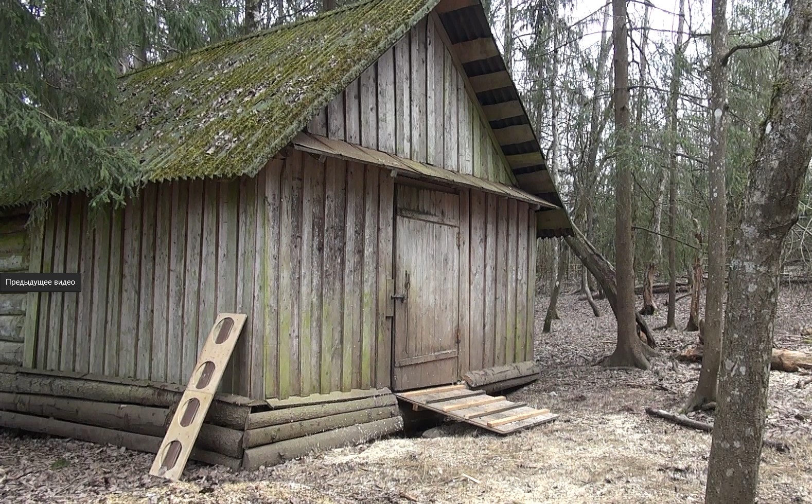 Скоро в Лесную школу