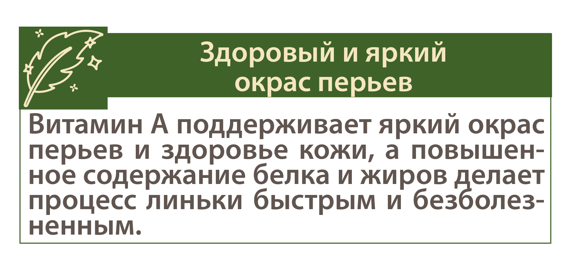 Корм для птиц
