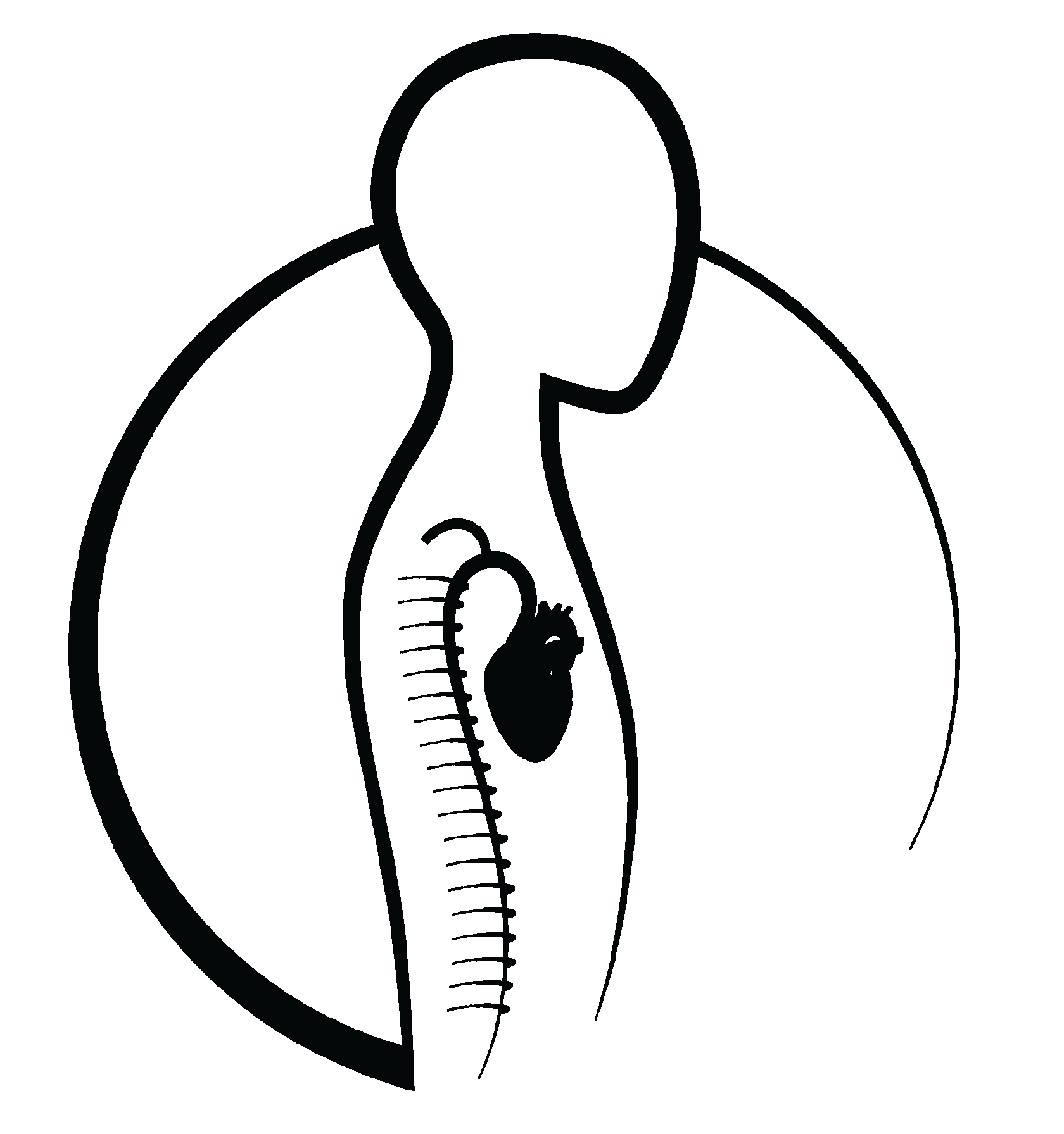 LiquoGuard Möller Medical GmbH монитор измерения ВЧД и автоматического ...