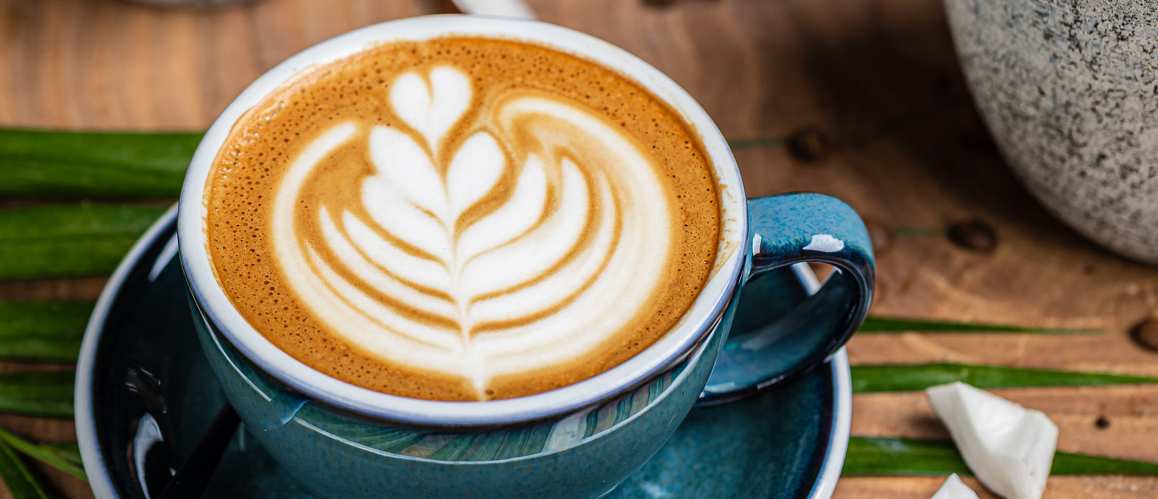 Кофейня DAILY GREEN