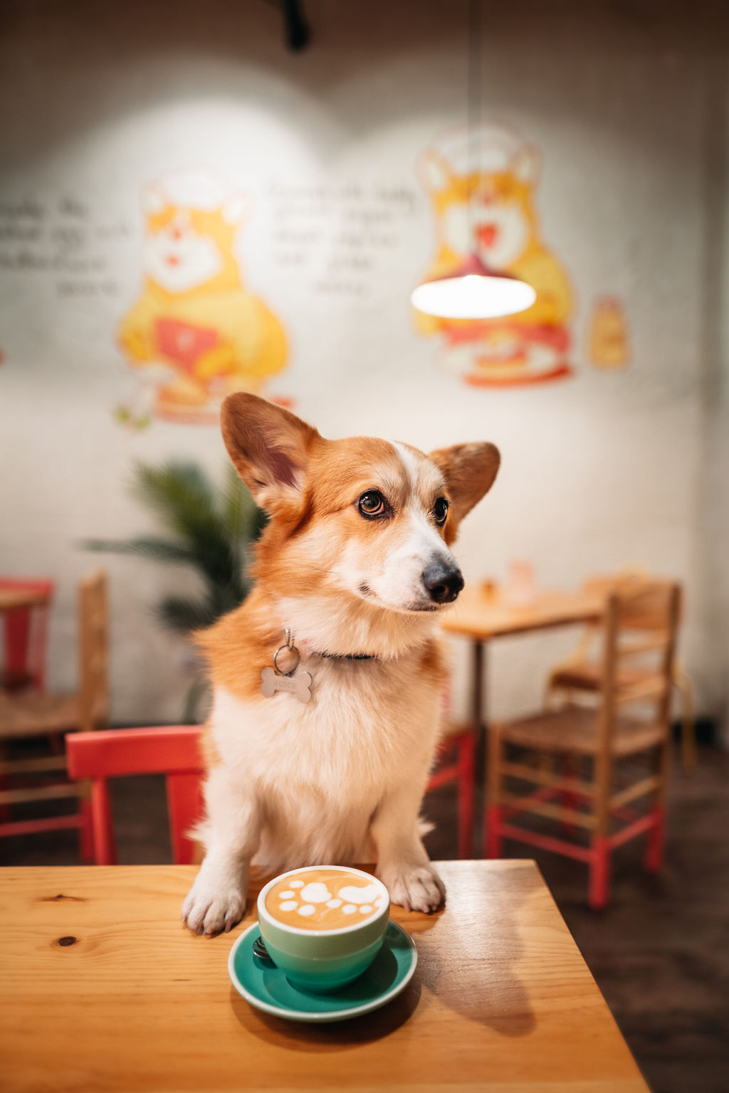 Corgi Cafe | Specialty Coffee and Brunch Barcelona