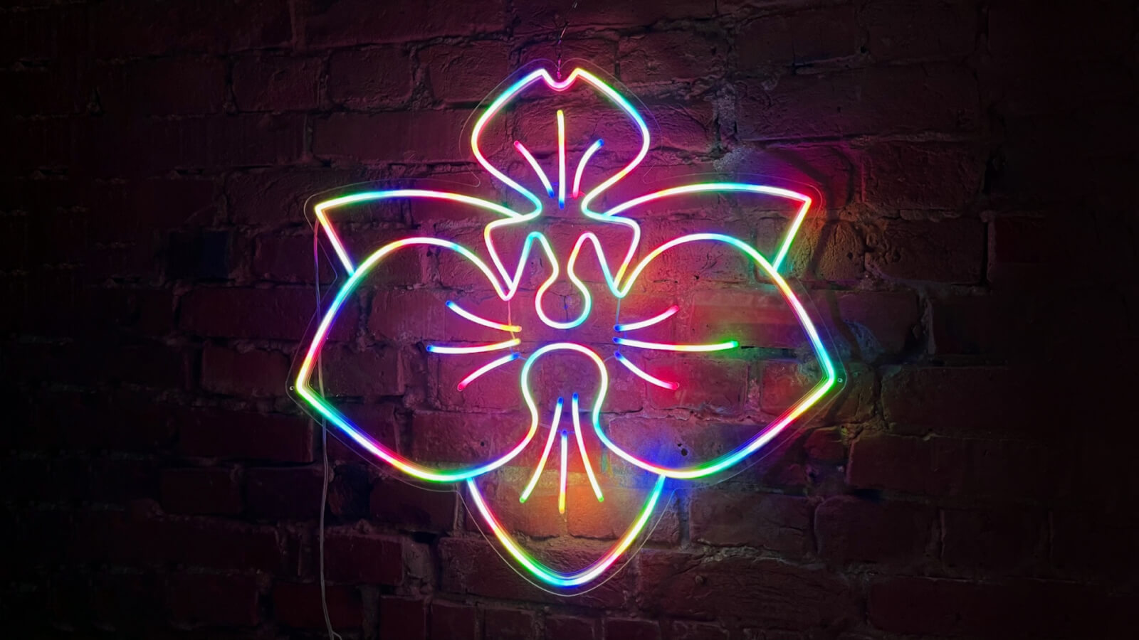 Цвета неоновой вывески: белая, розовая, красная, желтая, зеленая ...