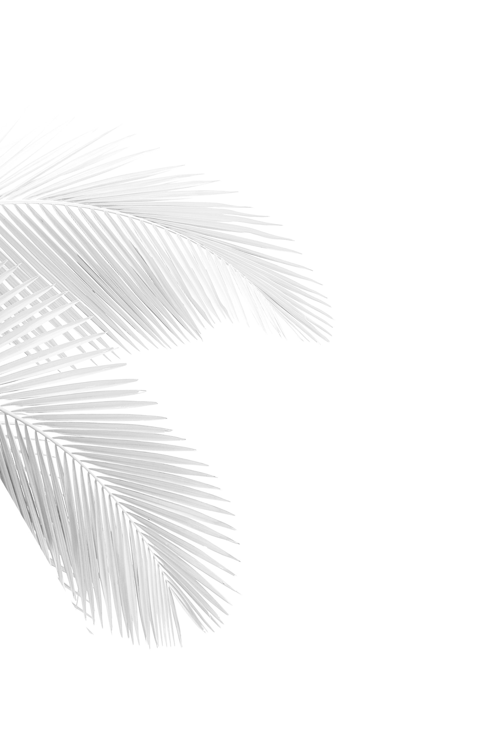 stretch_nadya_osanka