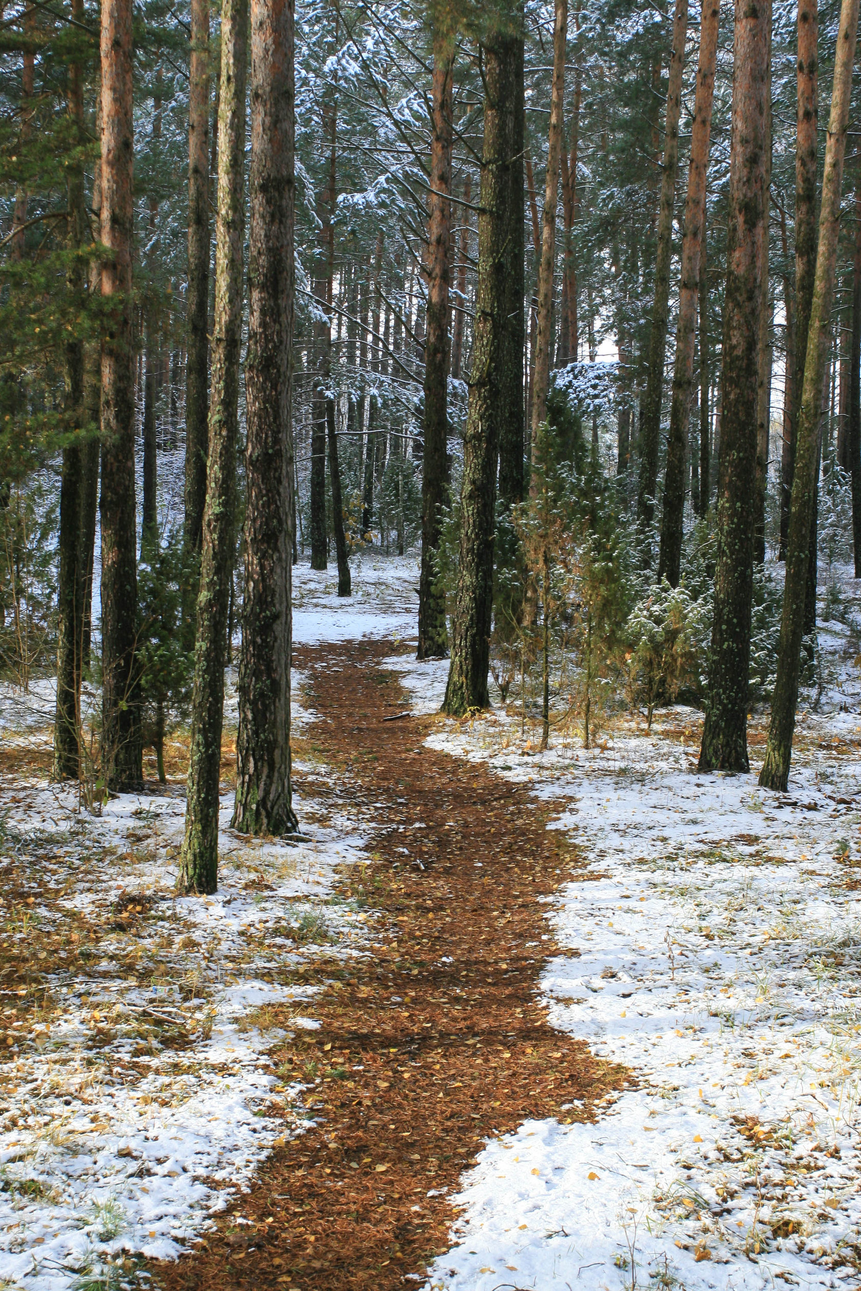 Aukštaitija National Park Hiking Tour | LitWild | Ignalina, Lithuania