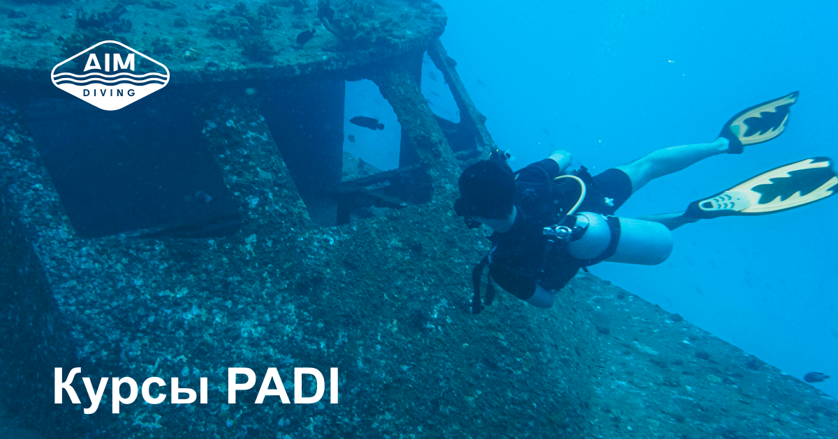 AIM Diving — Курсы PADI