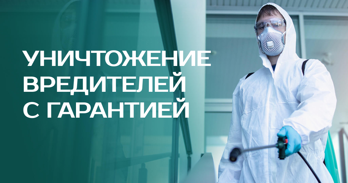 Избавиться от бактерий и вирусов