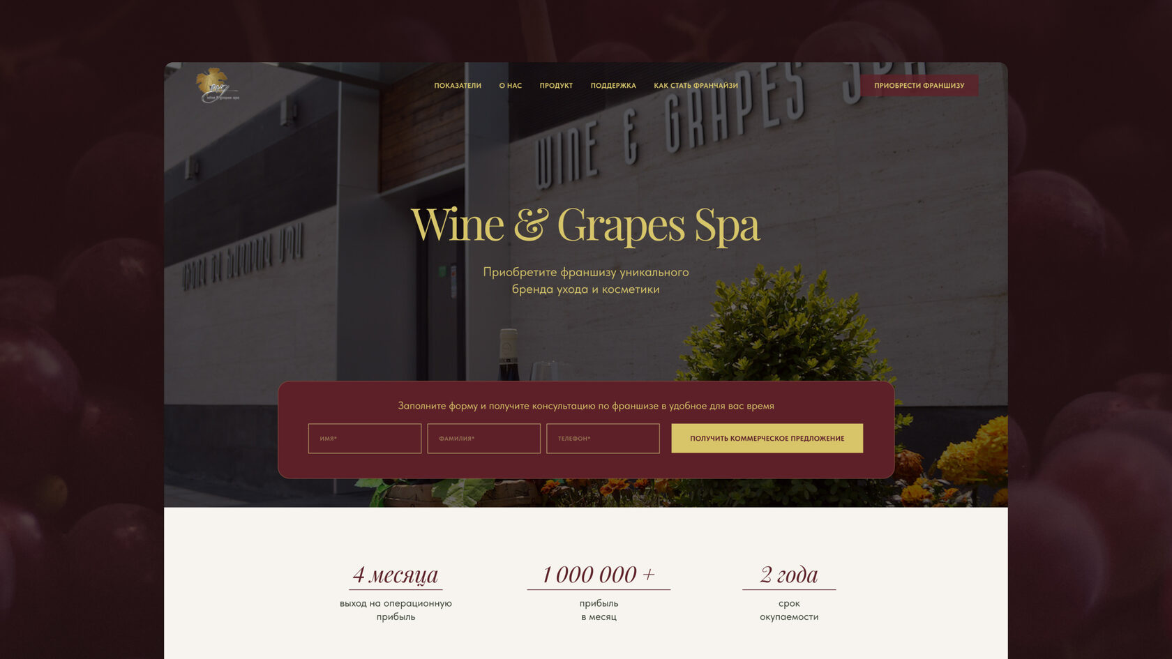 Франшиза спа-центра Wine & Grapes Spa
