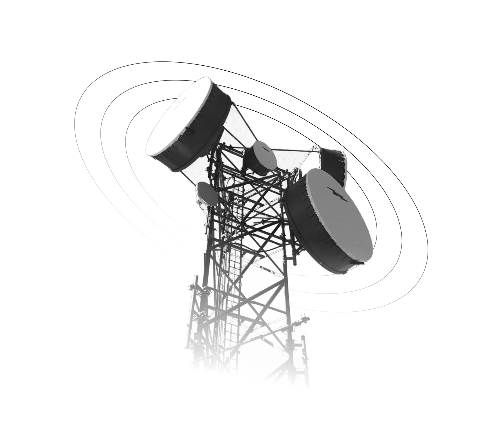 DEXNET — GLOBAL DEX INTERNET