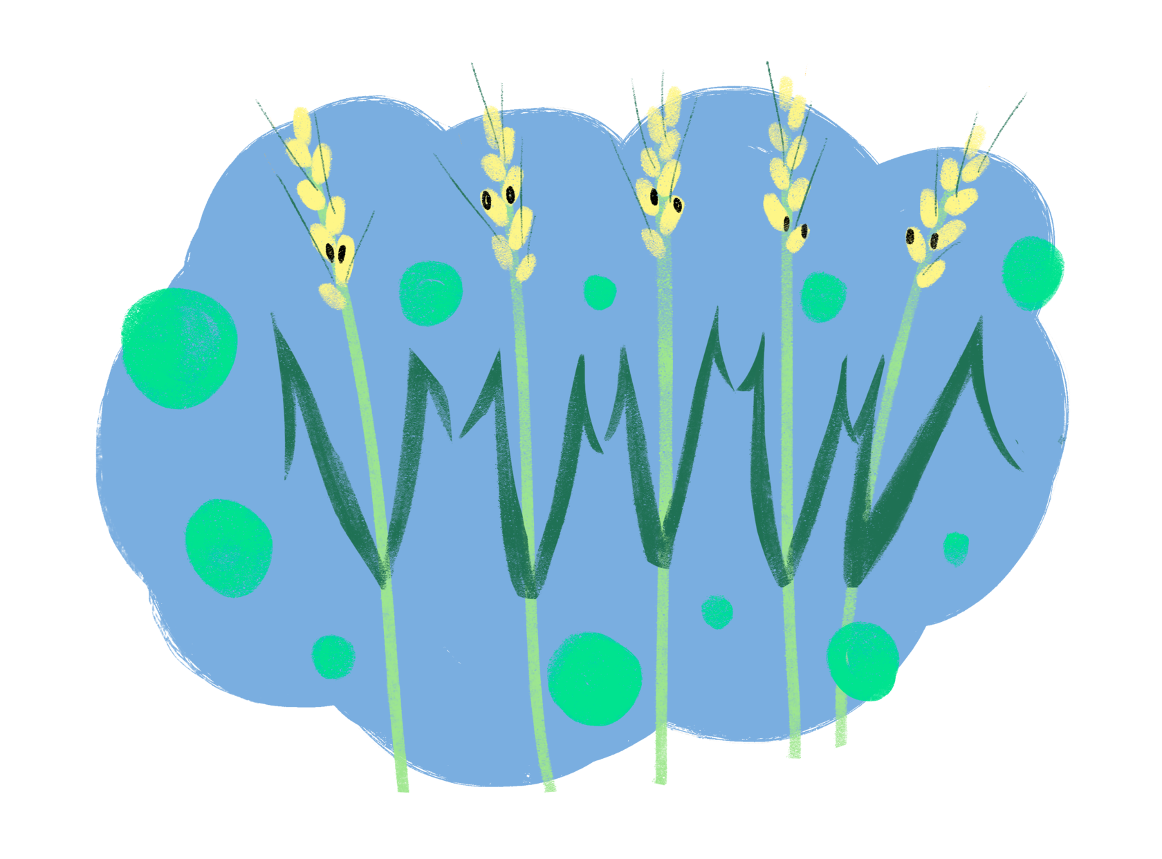 How To Conduct The Variable Rate Fertilizer Application Experiment