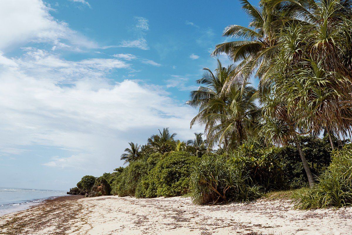 Msambweni Beach House - Top Rated Destination In Kenyan Coast ...