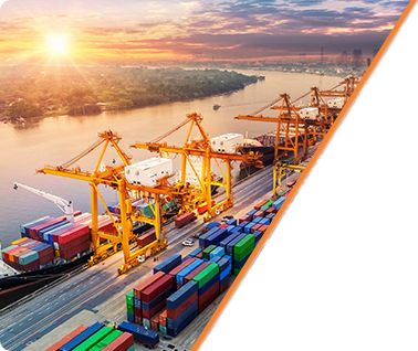 FoxCarriers | Your reliable logistics partner