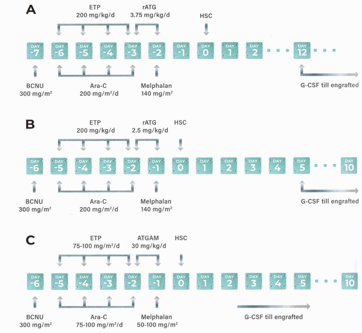 Indications and Efficacy of DMTs*