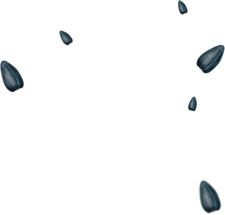 Clarisol - lo mejor para lo mejor