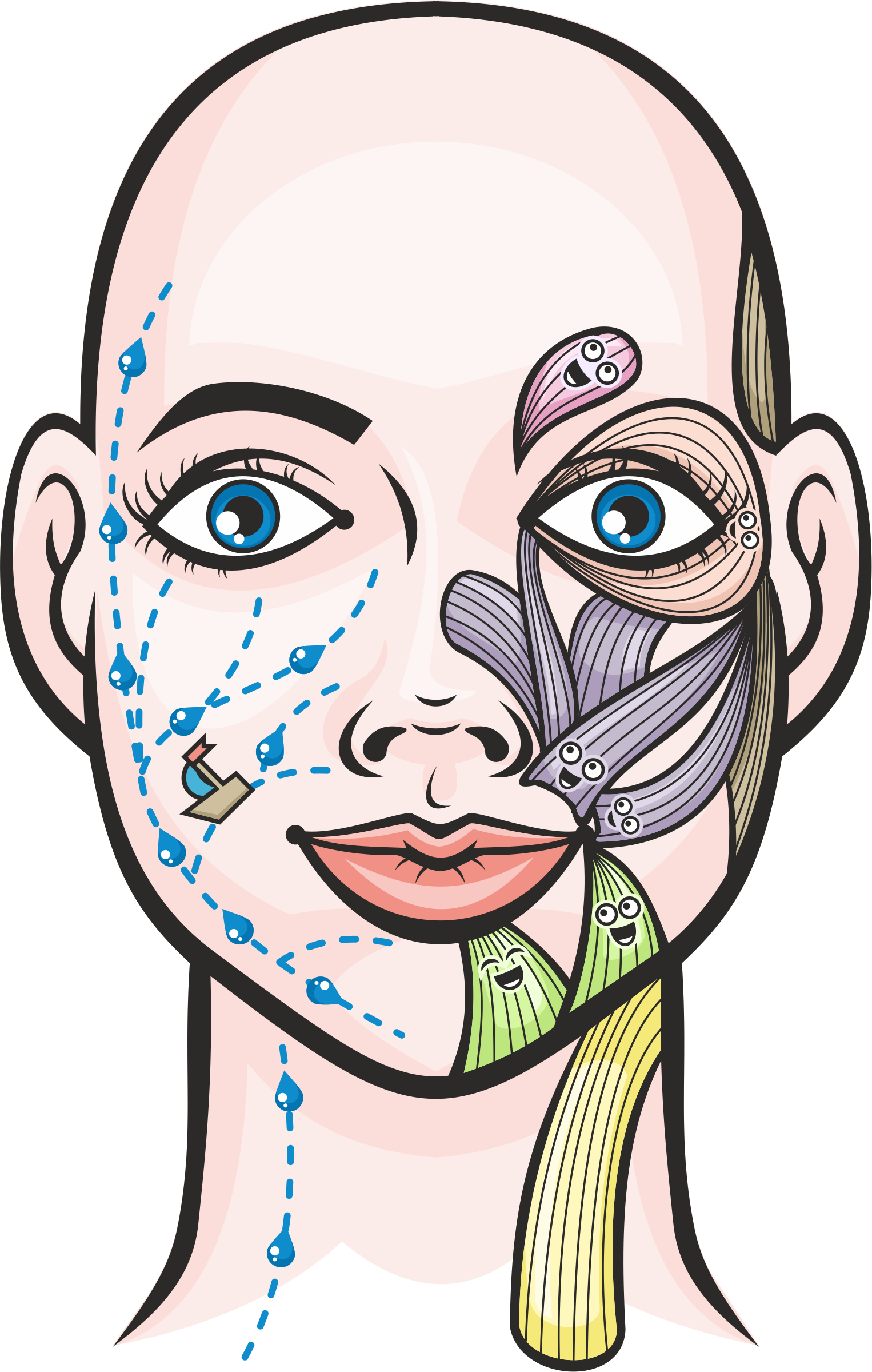 Intraoral (Jaw) massage