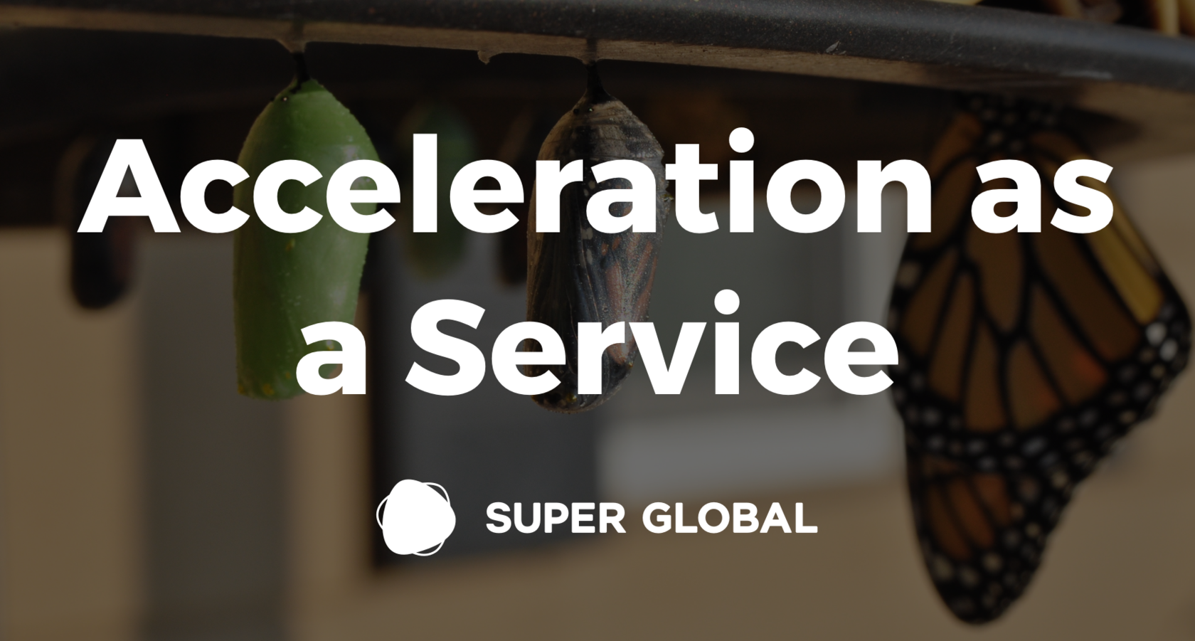 Blog - Acceleration-as-a-Service