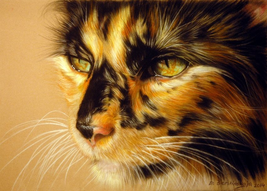 Pet Portrait & Wildlife Artist Danguole Serstinskaja. Feline Art