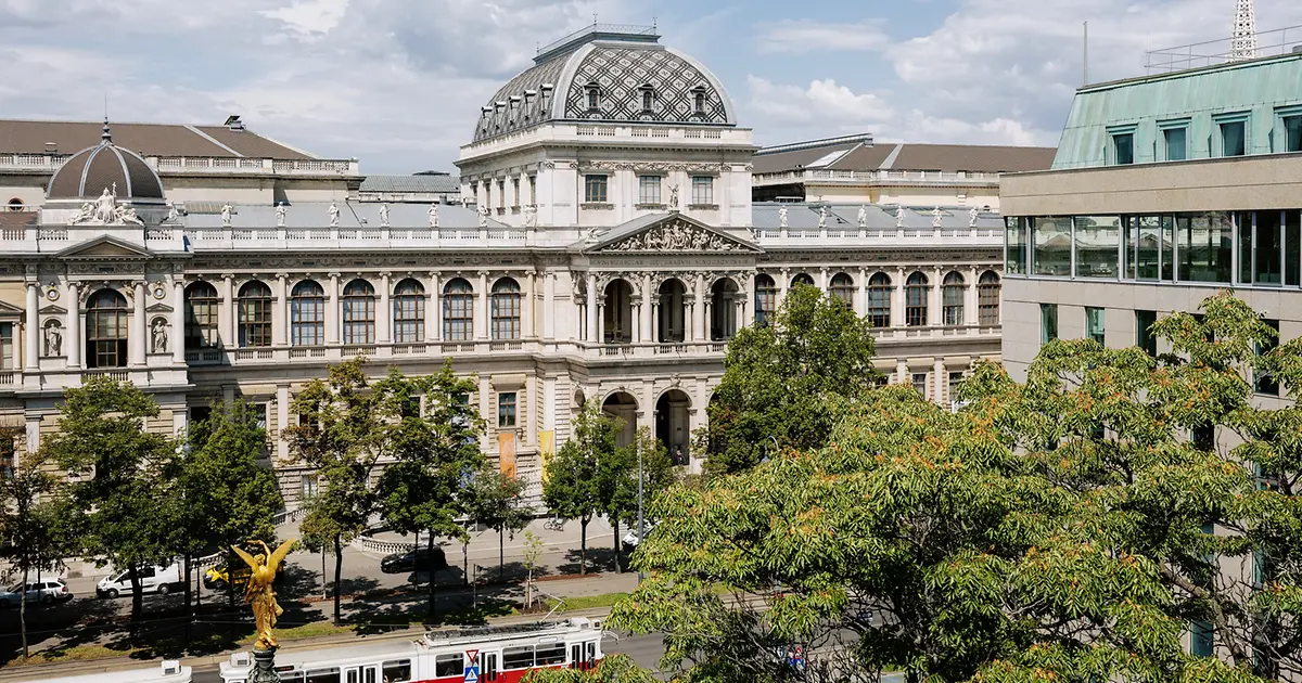 Education in Vienna: costs and conditions in 2023