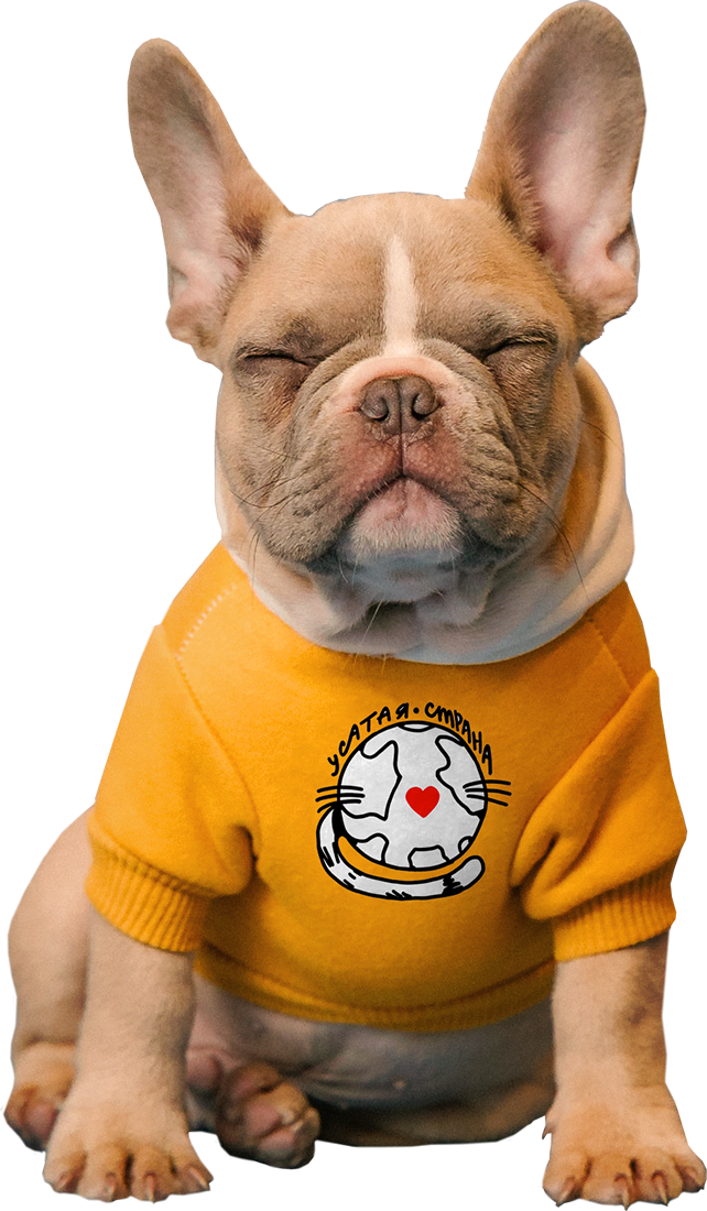 Продукция Премиальные корма для кошек и собак