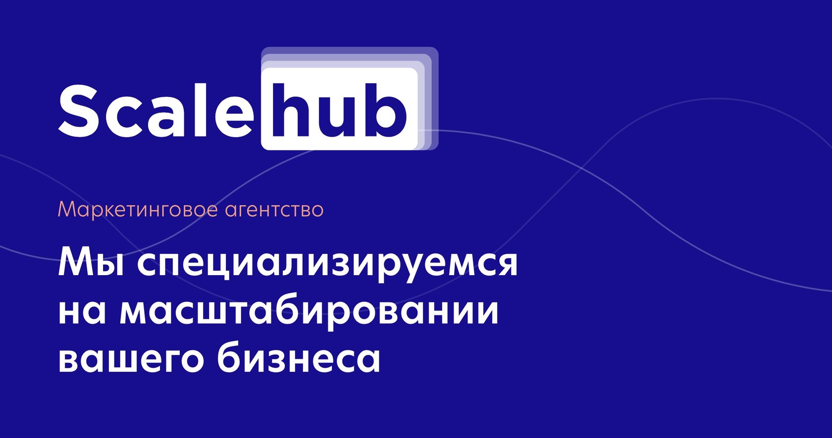 ScaleHub — we scale up success