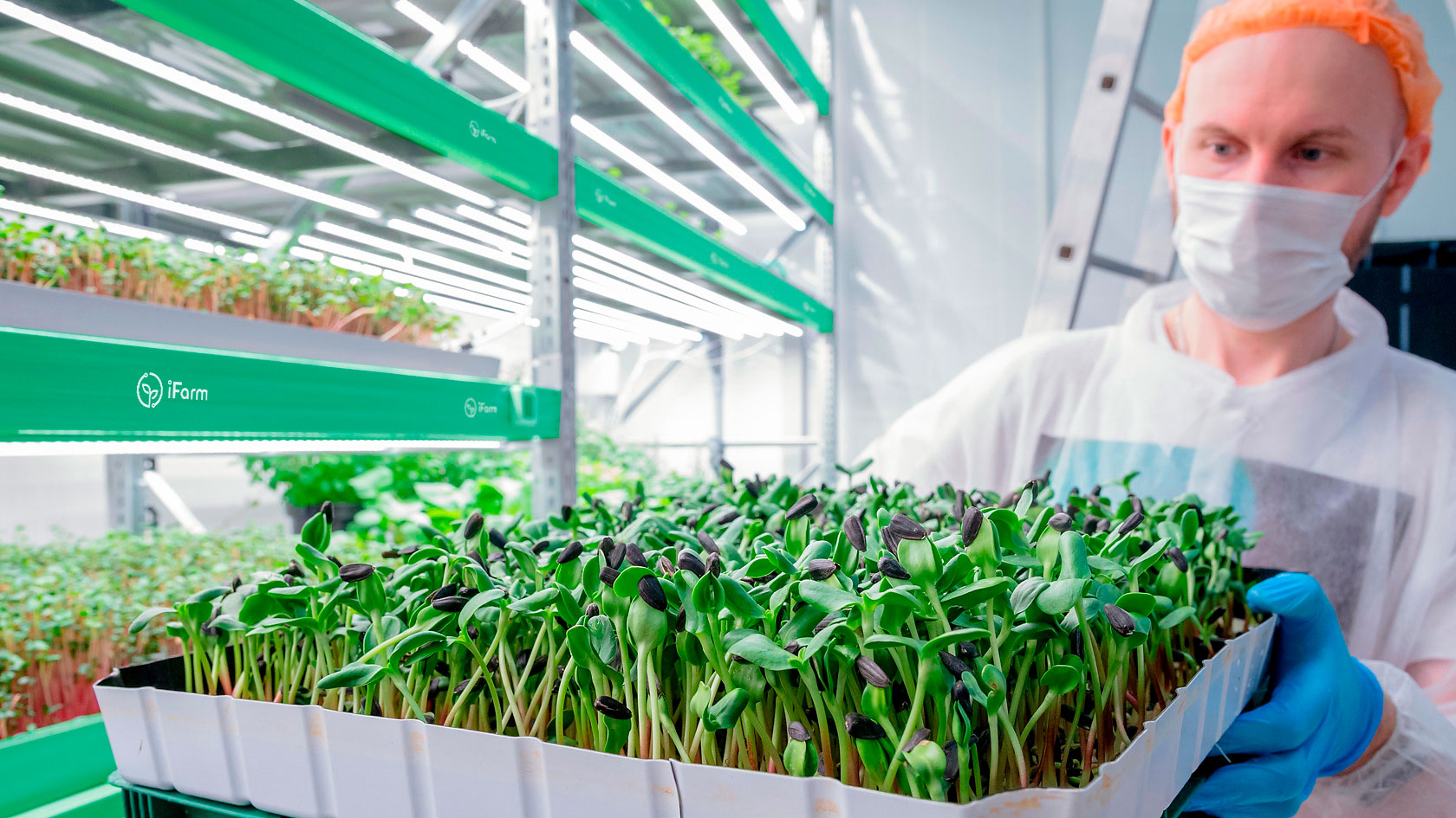 Vertical farming in the UAE: Drives and Opportunities